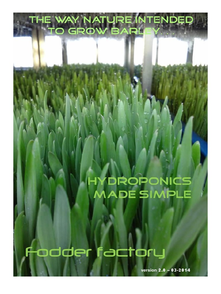Hydroponics Fodder Factory Rsa | PDF | Fodder | Digestion
