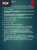 Purina Body Condition Score Diagram | PDF | Abdomen | Pelvis