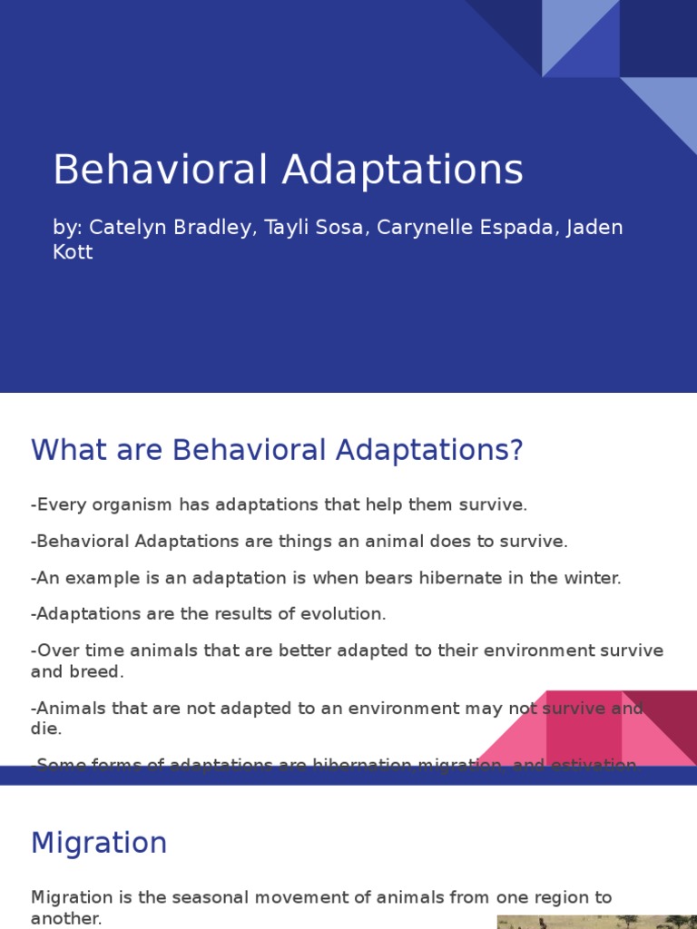 Behavioral Adaptations: By: Catelyn Bradley, Tayli Sosa, Carynelle ...
