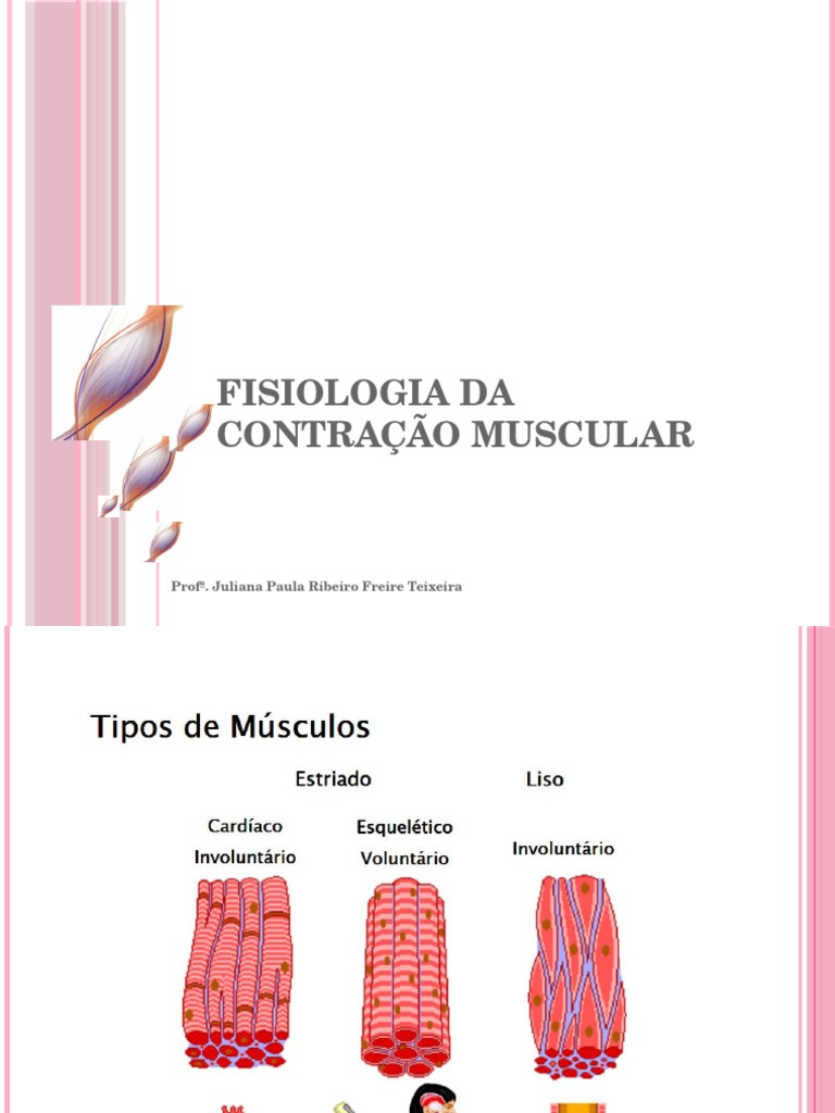 Fisiologia da Contração Muscular Esquelética | PDF | Músculo | Histologia