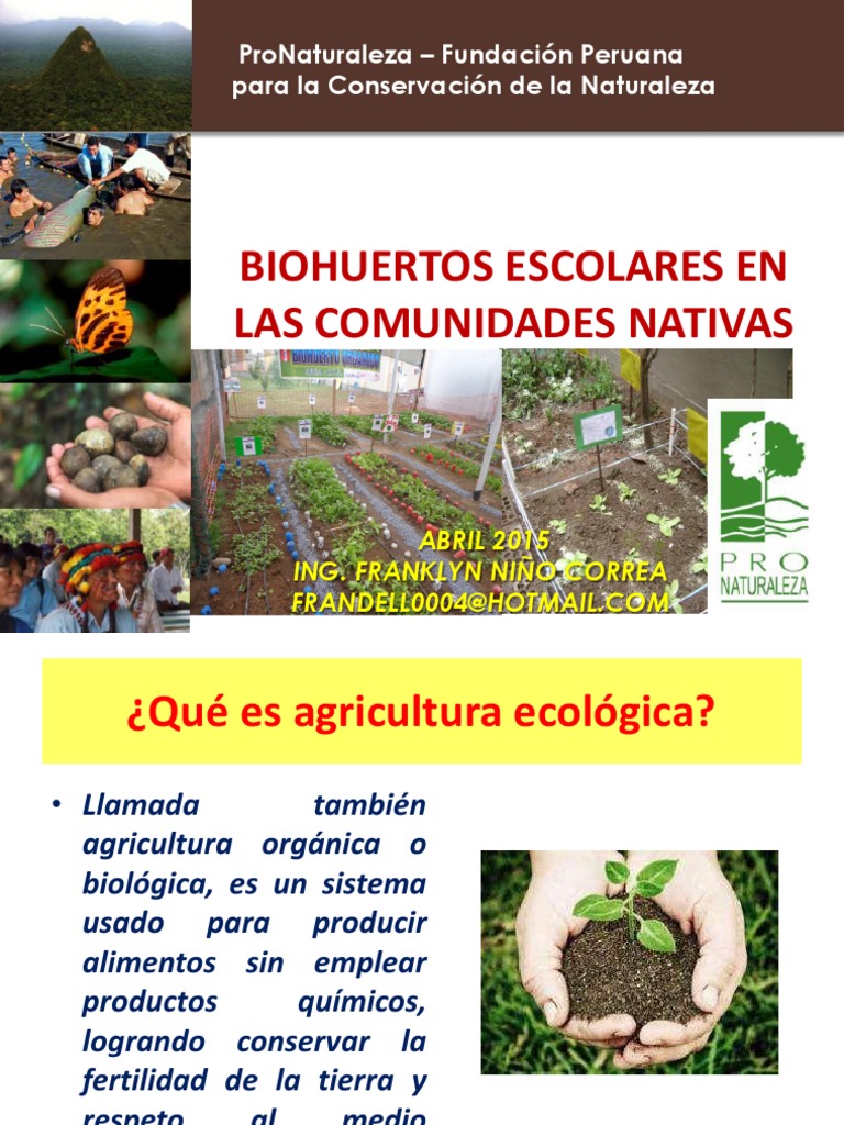 Cómo instalar y diseñar un biohuerto escolar en comunidades nativas ...