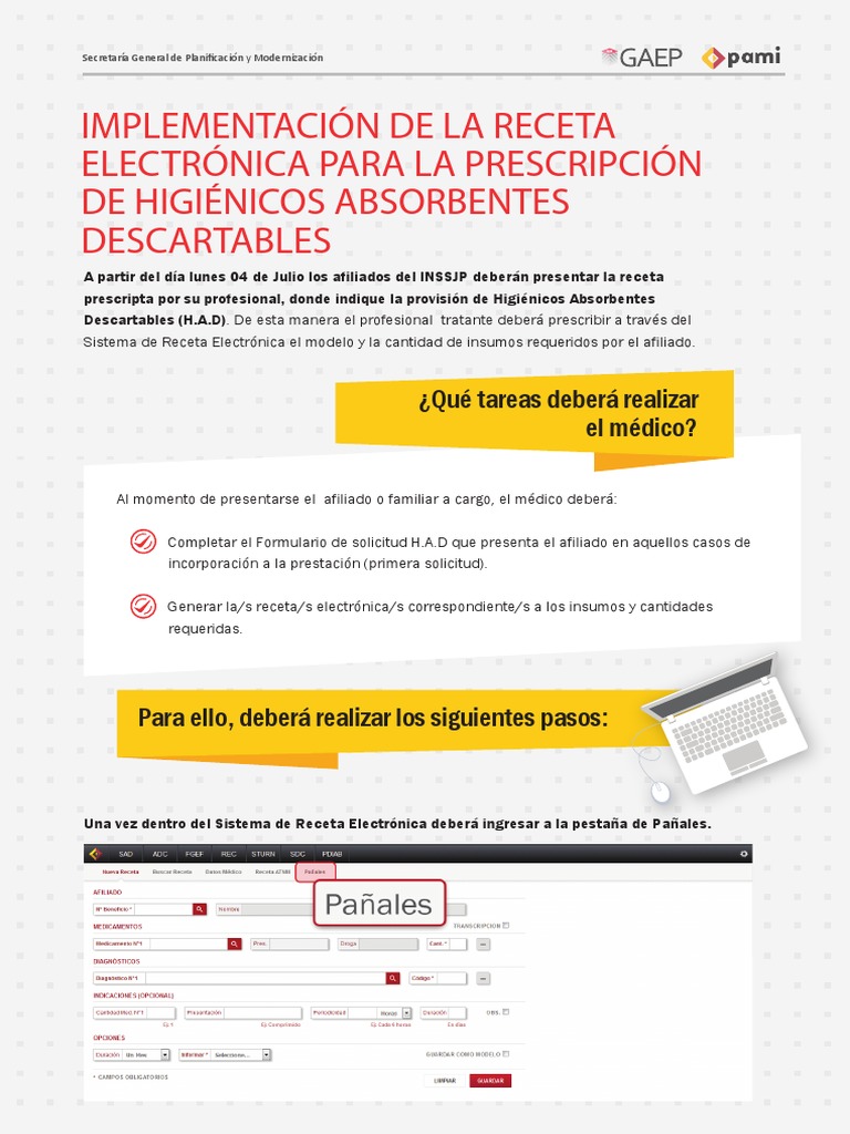Pañales - Instructivo - Prestador Pami | PDF | Informática | Informática y tecnología de la ...
