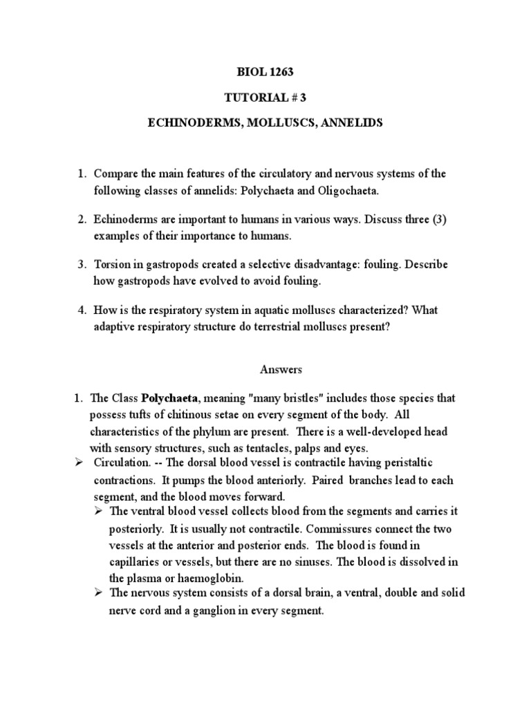Annelids, Echinoderms, and Molluscs Overview | PDF