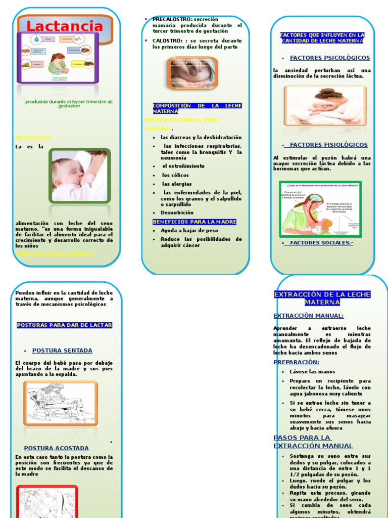 Triptico de Lactyancia Materna | PDF | La leche materna | Pecho