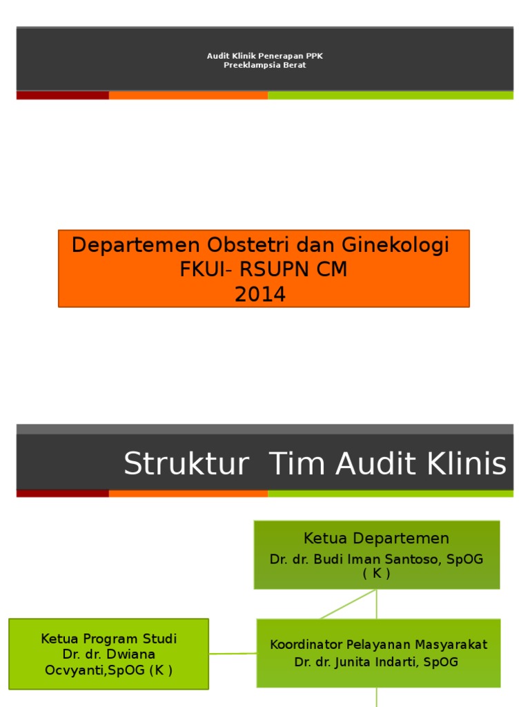 Audit PPK PEB Edit | PDF