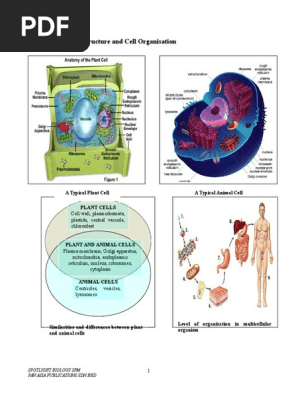 Chapter 2 Cell Structure And Cell Organisation Anjung Chapter 2 : Cell