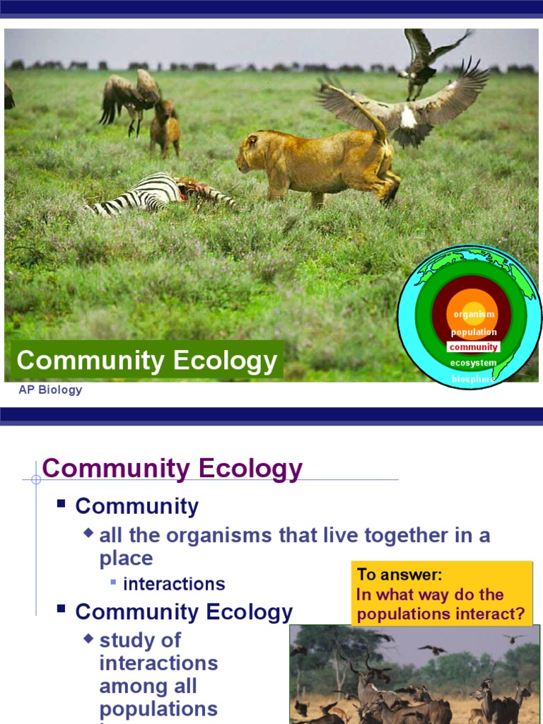Community Ecology Powerpoint | PDF | Mimicry | Ecological Niche