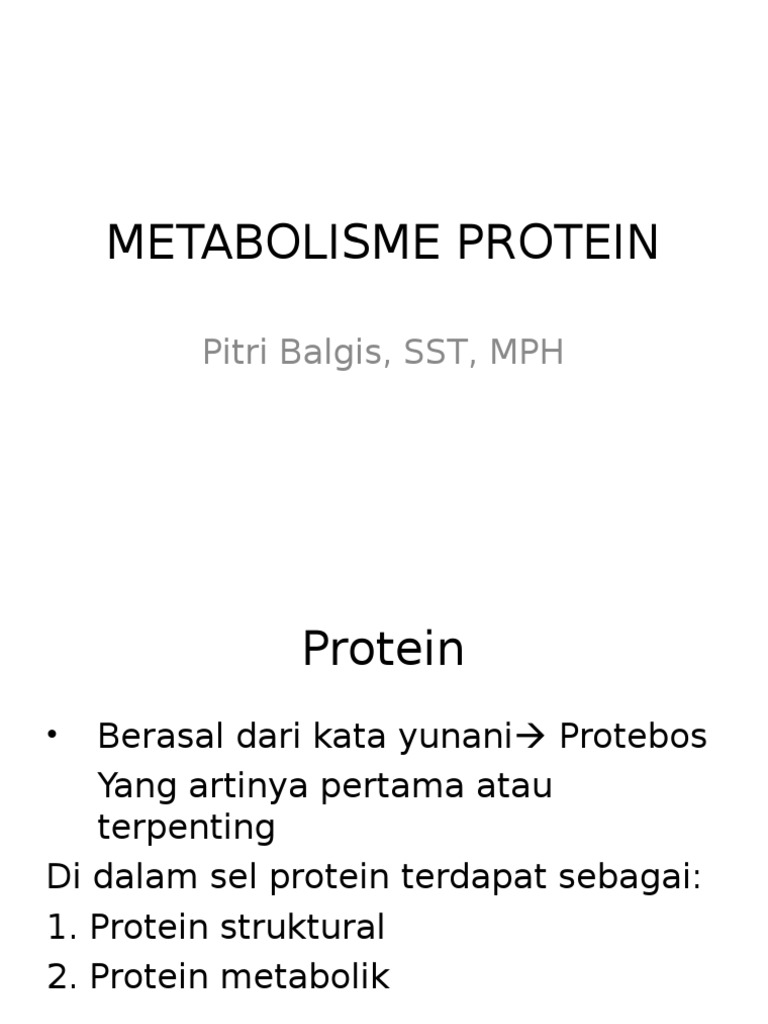 Metabolisme Protein | PDF