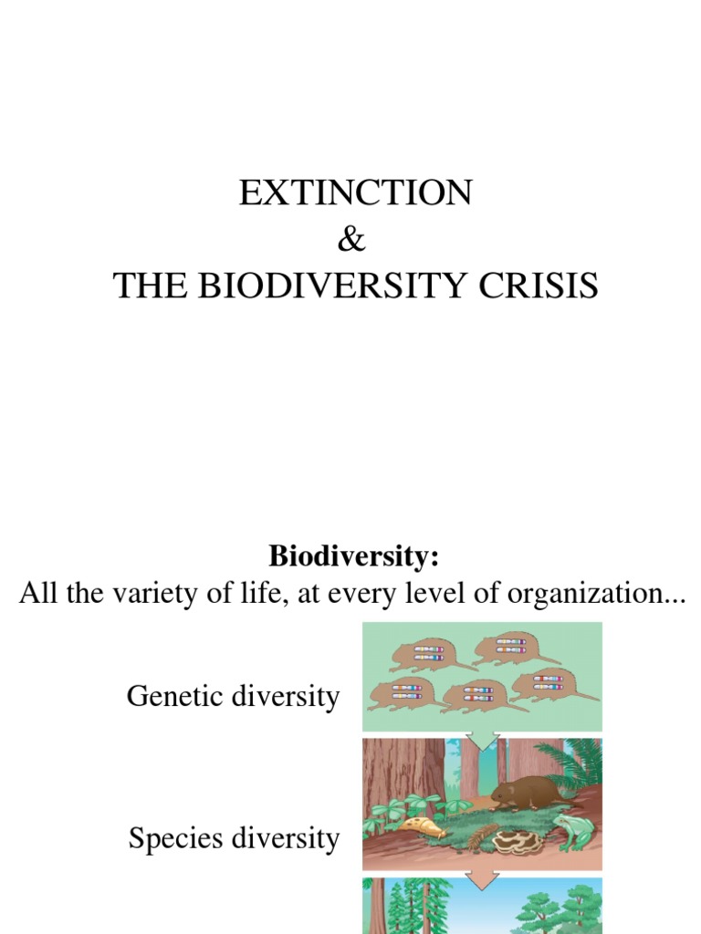 Lect 27 Extinction Biodiversity Crisis Pdf Extinction