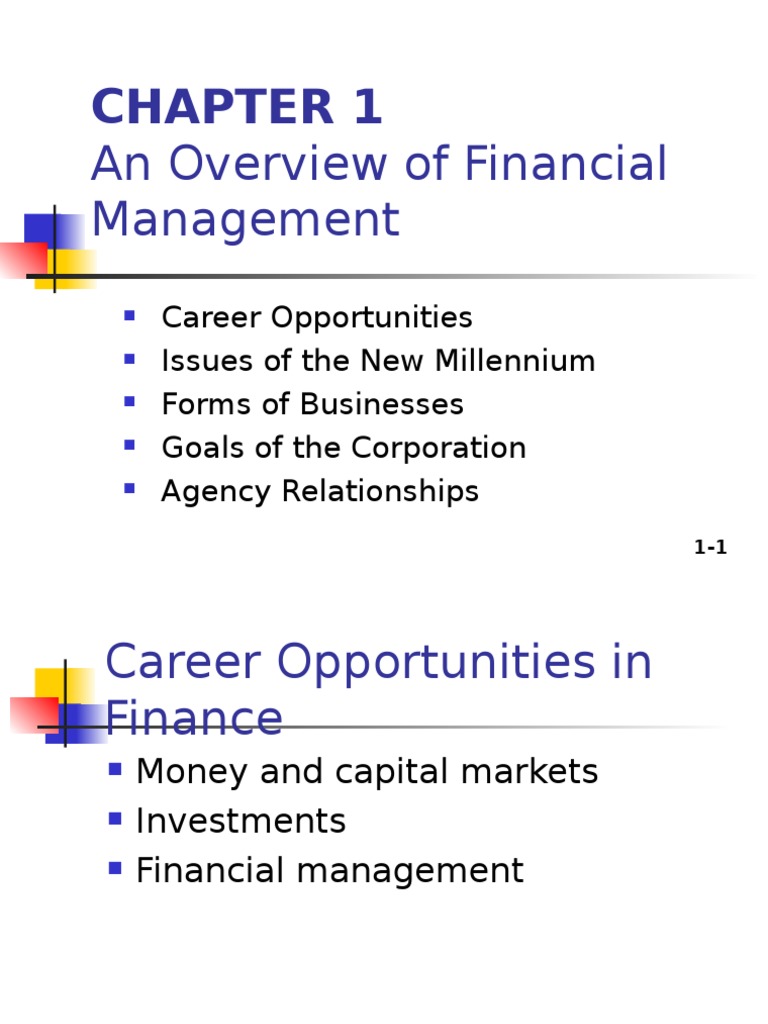 An Overview of Financial Management | PDF | Corporations | Stocks