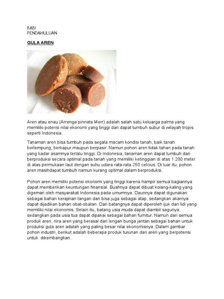Gula Aren: Manfaat dan Proses Pembuatannya | PDF