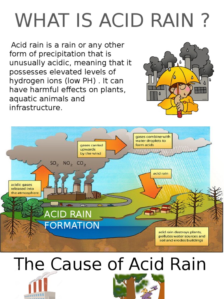 Understanding Acid Rain Causes & Solutions | PDF