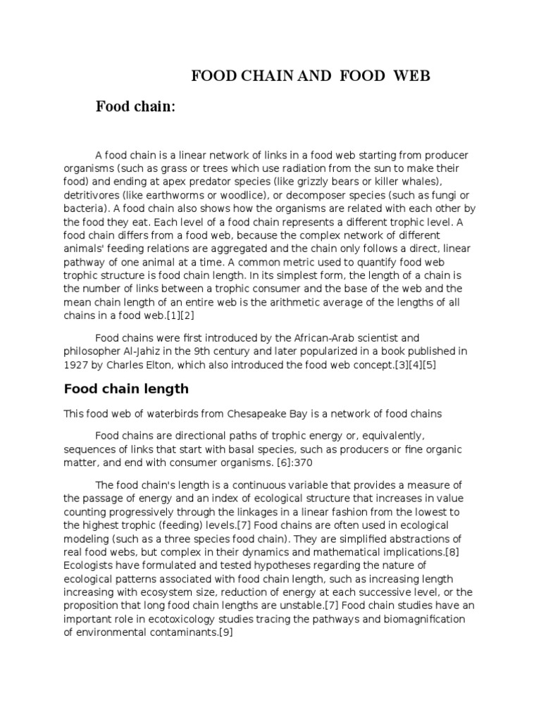 Food Chain and Food Web | PDF | Food Web | Environmental Science
