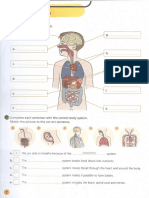 Sciences Activity Book 5º Primaria Mcmillan by Me PDF | PDF