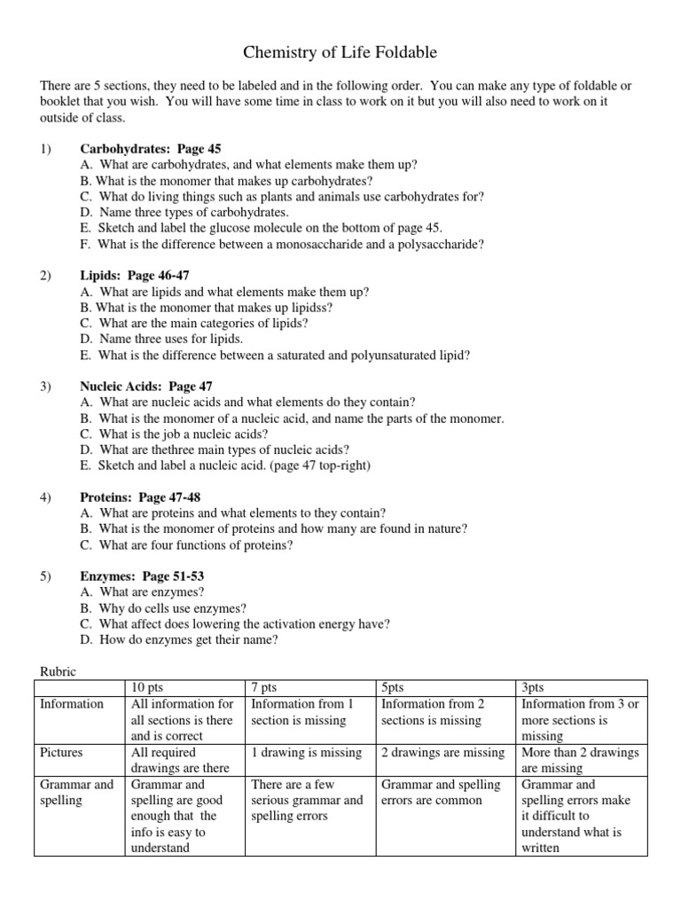 Biology Student Foldable Guide | PDF
