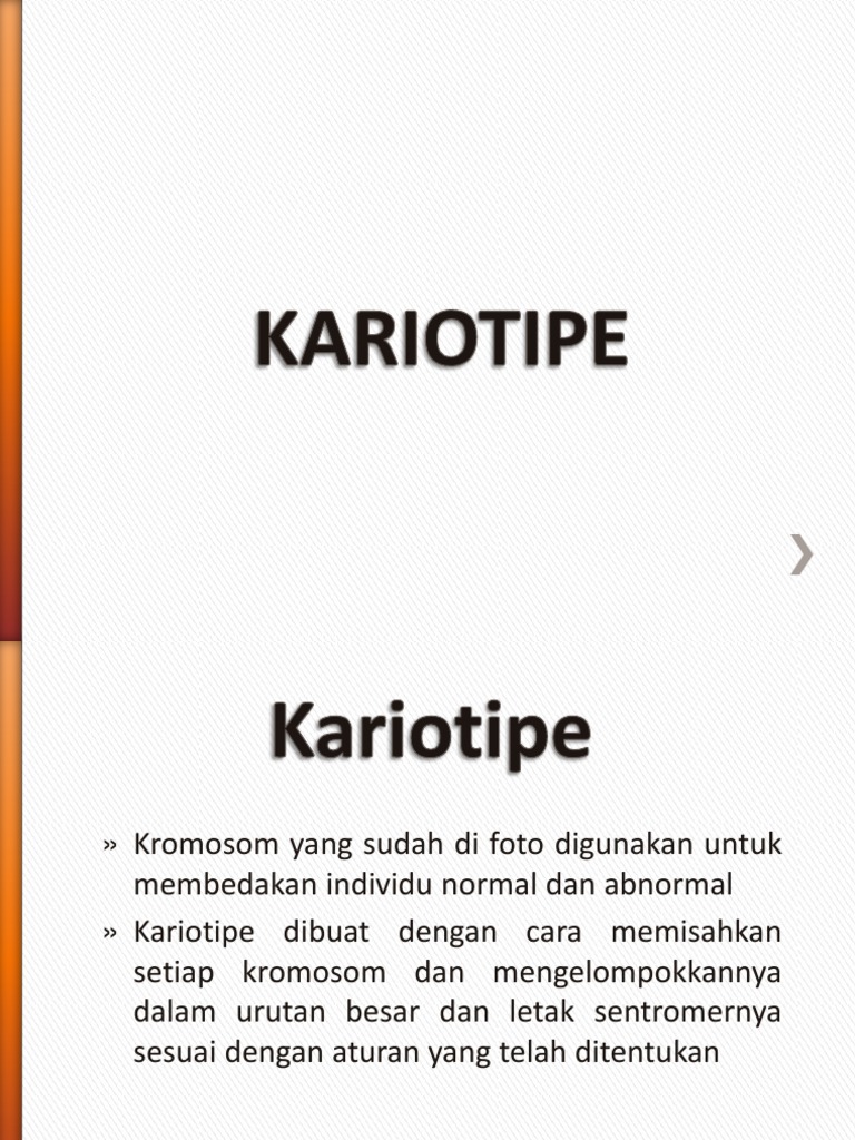 Kariotipe PDF | PDF | Sains & Matematika