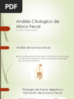 Citología de Moco Fecal y Su Importancia | PDF | Heces | Diarrea