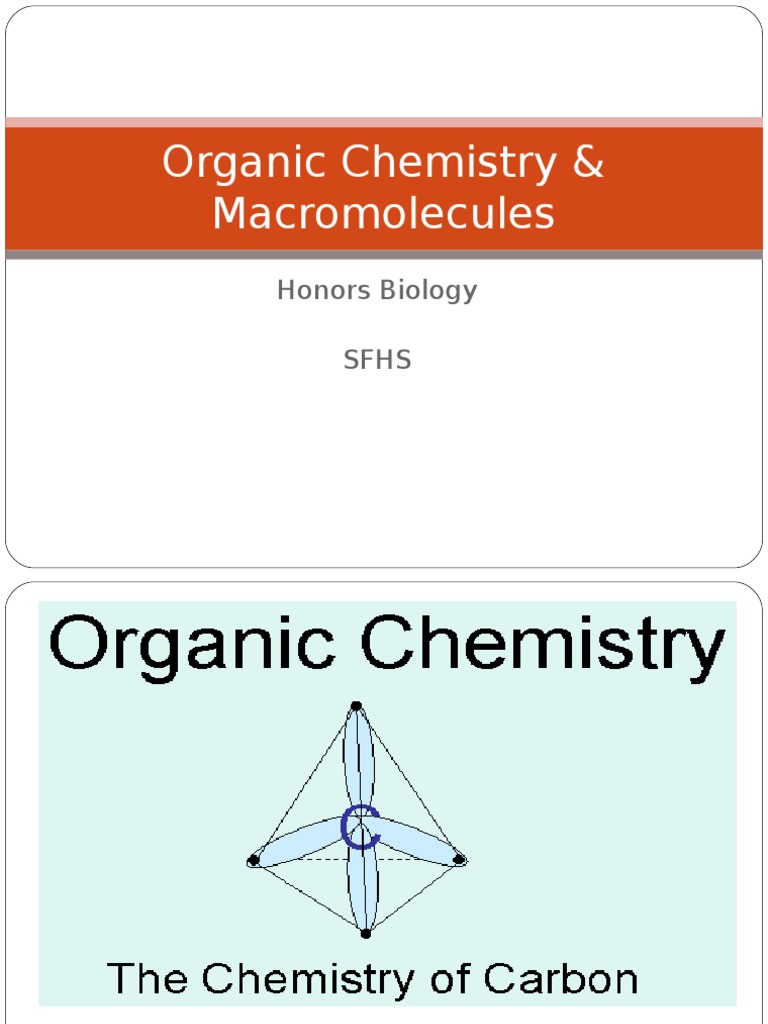Organic Chemistry Macromo Honors | PDF | Proteins | Carbohydrates