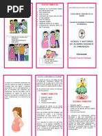 Carnet Del Embarazo | PDF