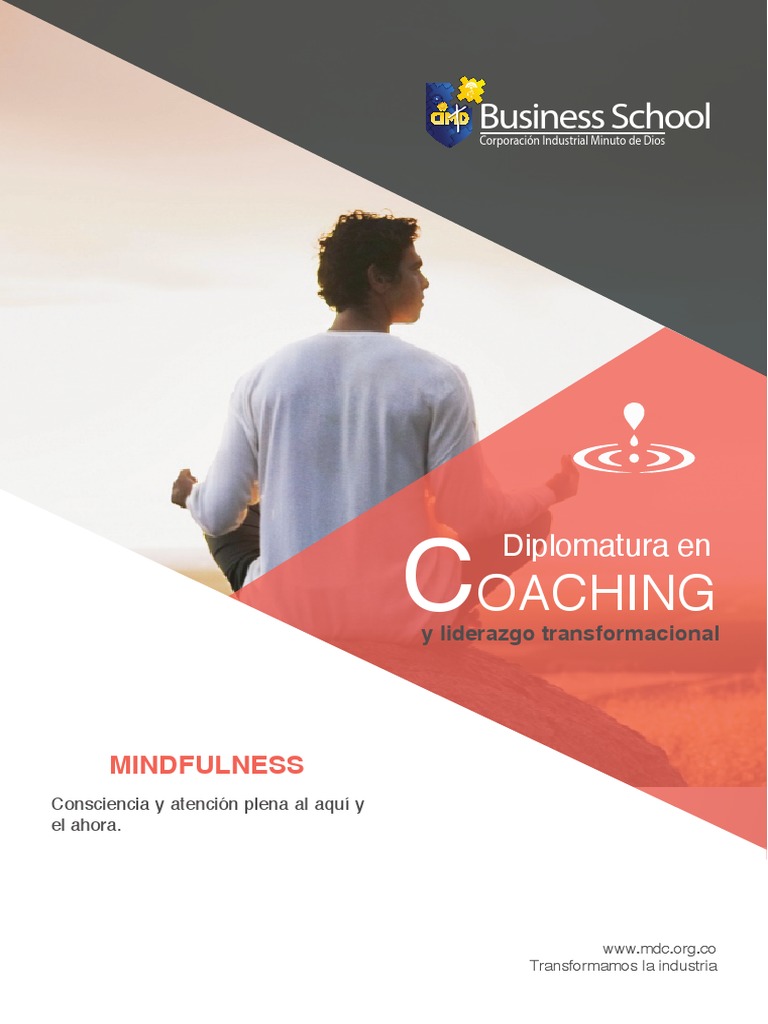 Manual Mindfulness | PDF | Mente | Cerebro