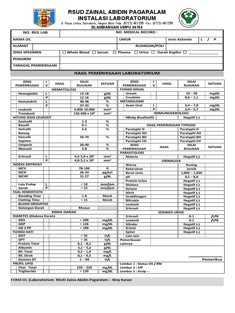 Blanko Hasil Lab A4 | PDF