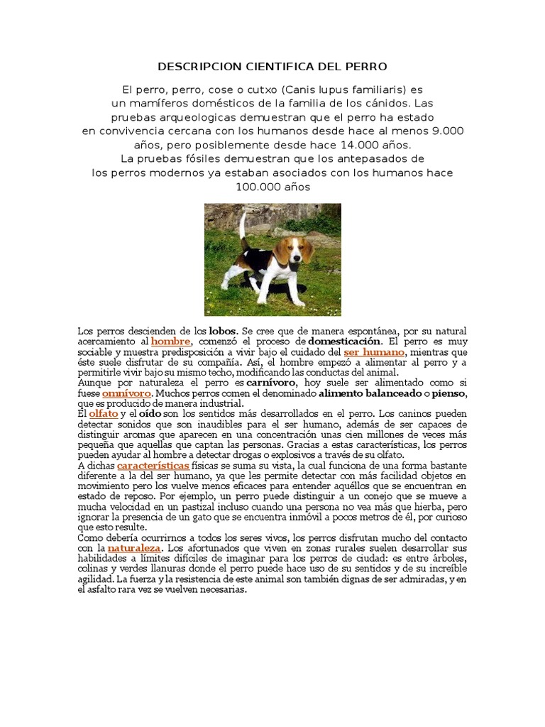 Descripcion Cientifica Del Perro | Perros | Homo Sapiens