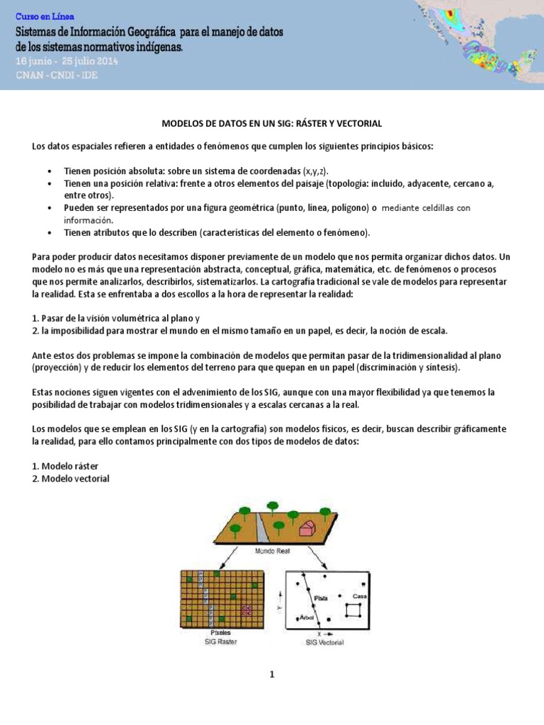 Modelos de Datos en SIG: Ráster y Vectorial | PDF | Sistema de ...
