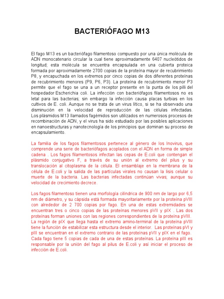 Bacteriófago M13 | PDF | Bacteriófago | Adn