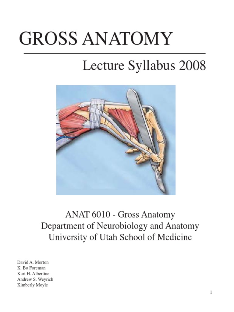 Gross Anatomy PDF | PDF | Spinal Cord | Vertebral Column