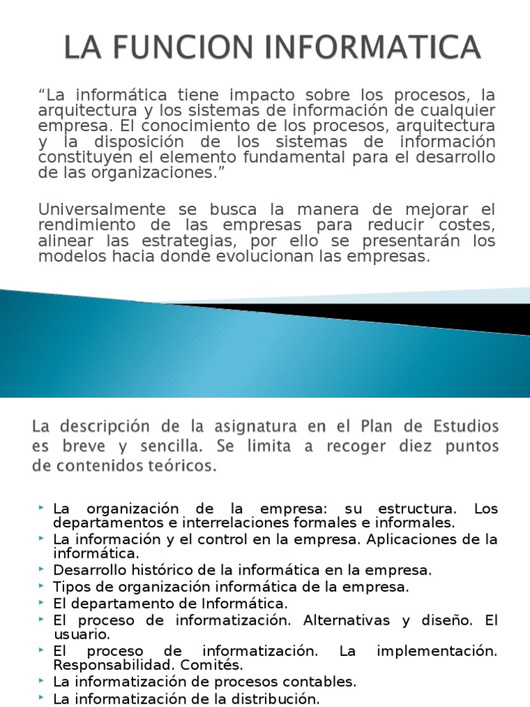 Función Informatica | PDF | Sistema de informacion | Informática