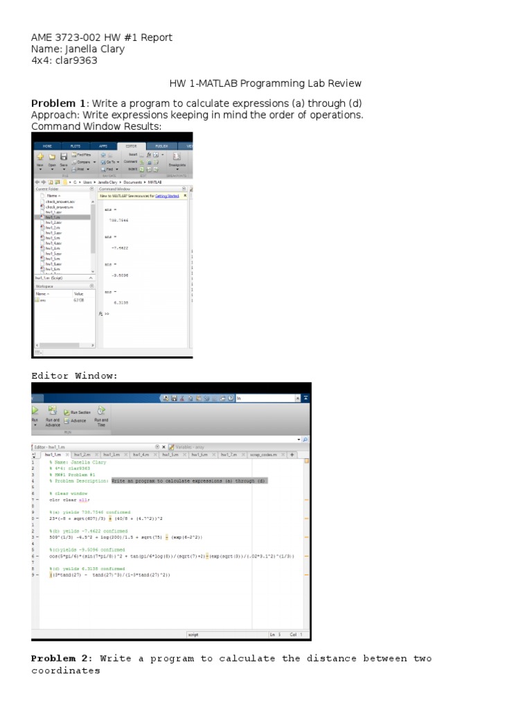 HW1 MATLAB Basics Review Document | PDF