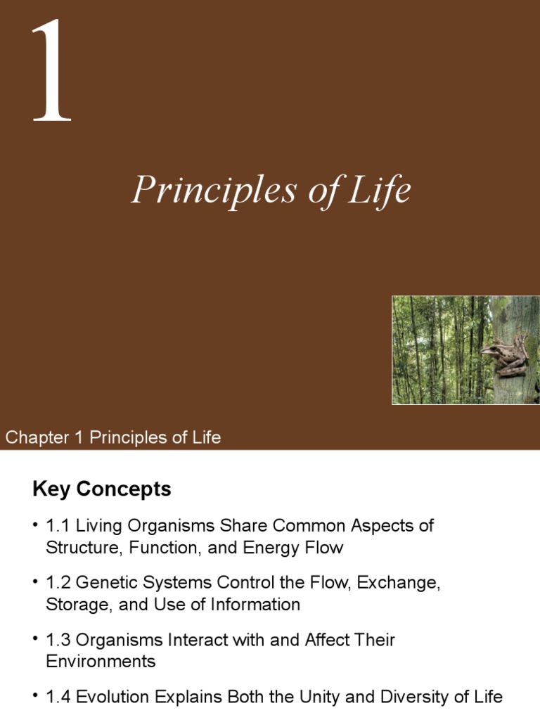 Ch01 Lecture-Principles of Life | PDF | Organisms | Evolution