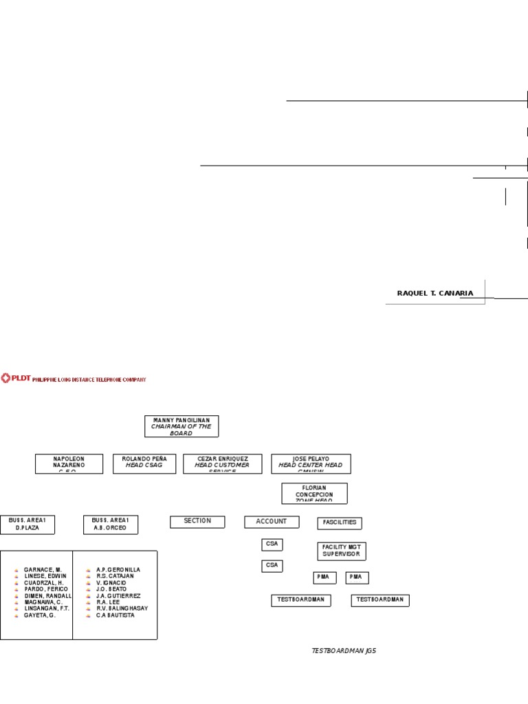 PLDT Organizational Structure Overview | PDF | Travel