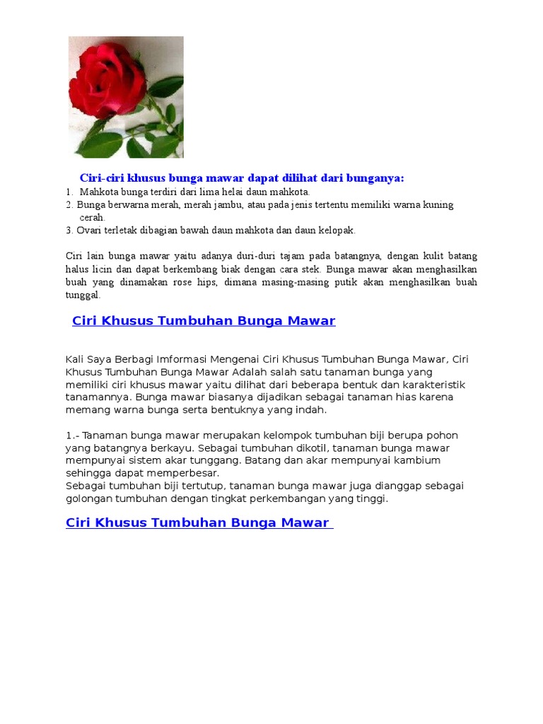Ciri-Ciri & Kegunaan Bunga Mawar | PDF