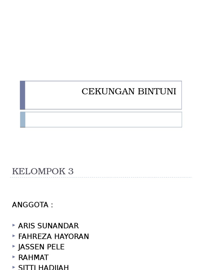 Geological Characteristics and Hydrocarbon Potential of the Bintuni ...