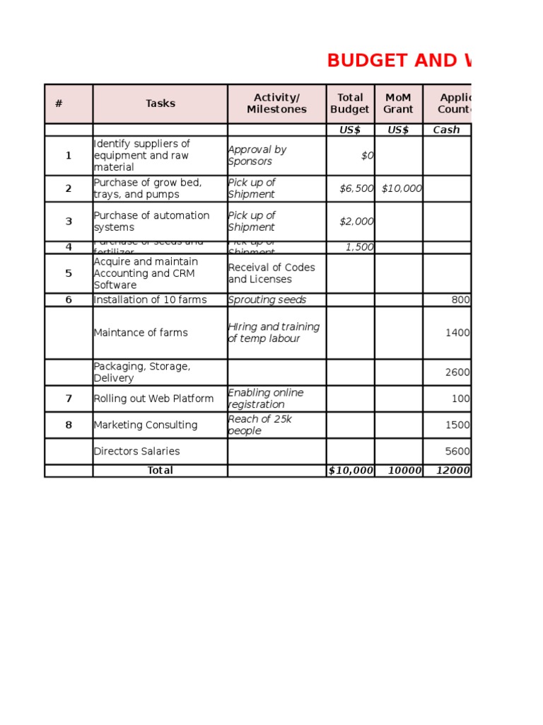 Budget and Work Plan Overview | PDF
