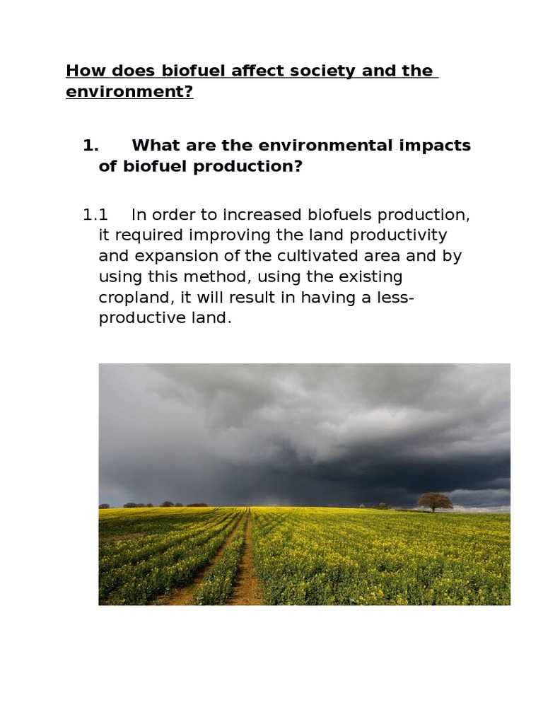 How Does Biofuel Affect Society and The Environment | PDF