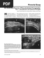 Diagnostic Ultrasound Report Templates | PDF | Ankle | Knee