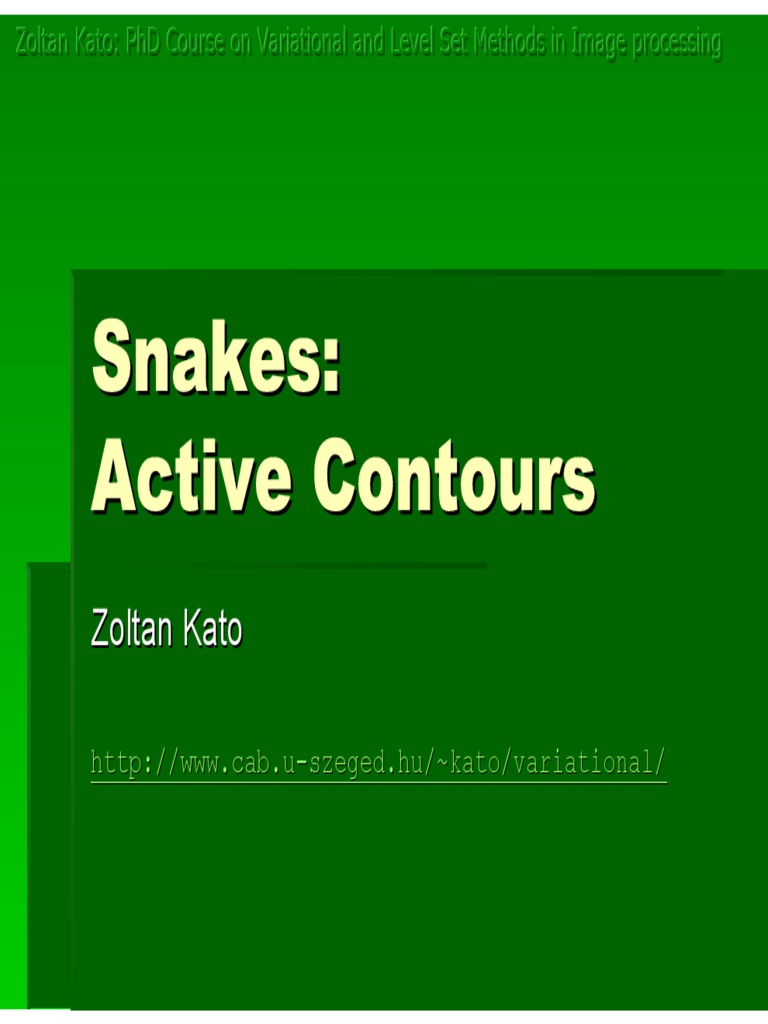 Snakes: Active Contours | PDF | Computational Science | Theoretical Physics