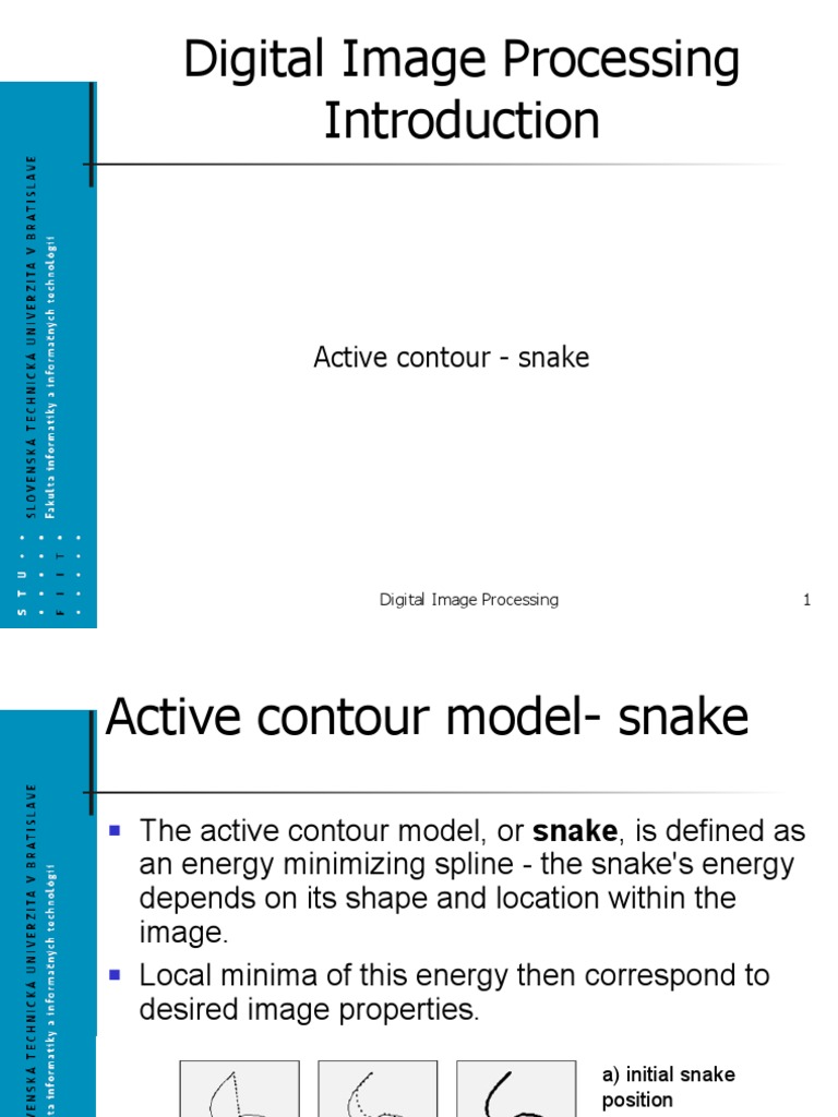 Active Contour - Snake | PDF