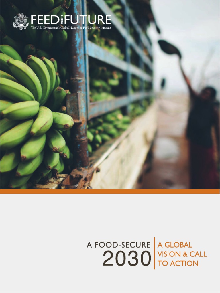 A Food Secure 2030 | PDF | Food Security | Malnutrition