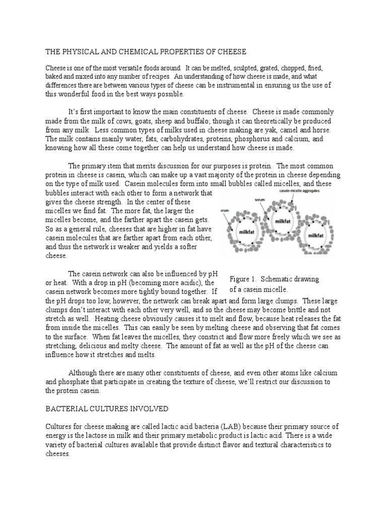 Chemical Properties of Cheese Explained | PDF | Cheese | Lactobacillus