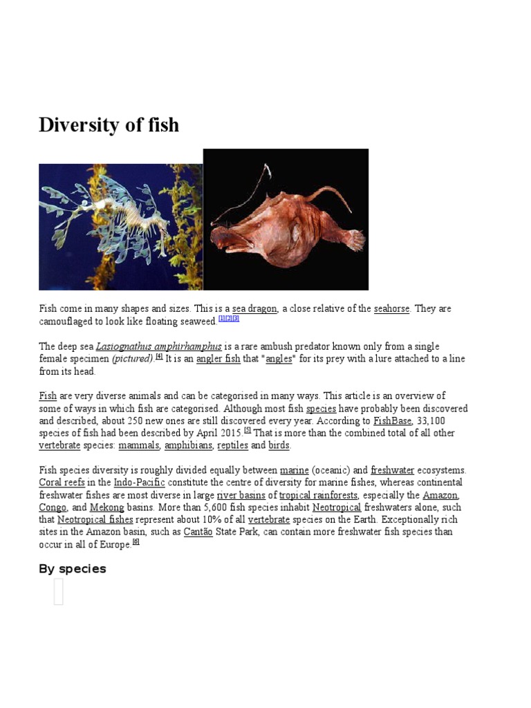 Diversity of Fish: by Species | PDF | Fish | Oceanography