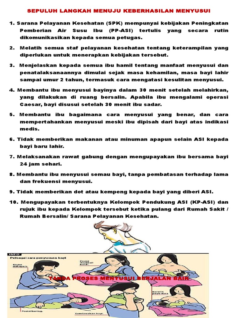 10 Langkah Menuju Keberhasilan Menyusui | PDF