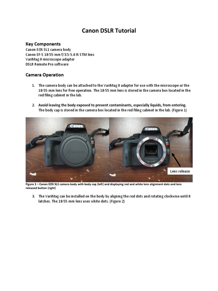 Canon DSLR Tutorial: Key Components | PDF | Live Preview | Digital Single Lens Reflex Camera