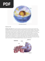 Kelompok 6 - Sentriol & Sentrosom | PDF