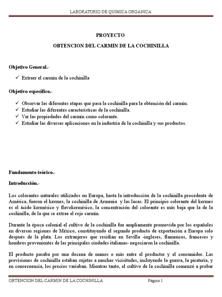 Obtención y propiedades del carmín de cochinilla | PDF | Pigmento | Agua