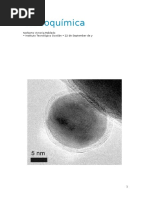 Polímeros Catenanos y Rotaxanos | PDF | Moléculas | Nanotecnología