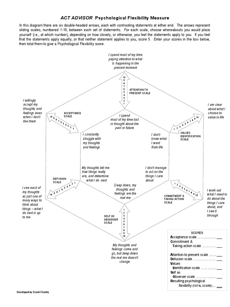 Psychological Flexibility Assessment Tool | PDF