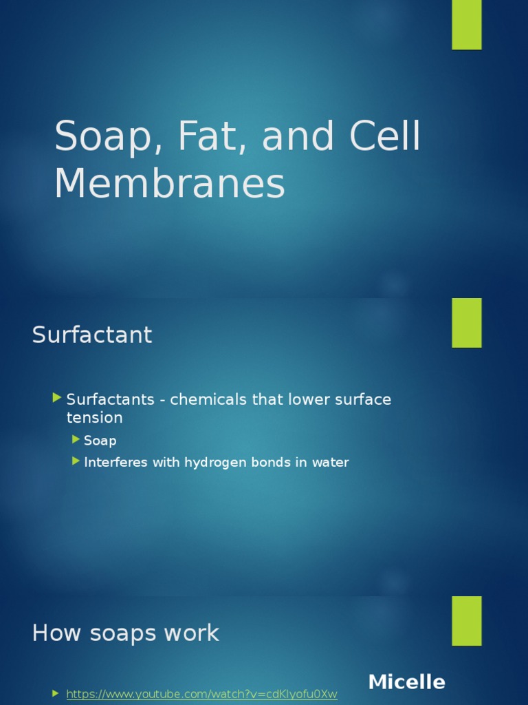 Soap Fat and Cell Membranes 16-17 | PDF